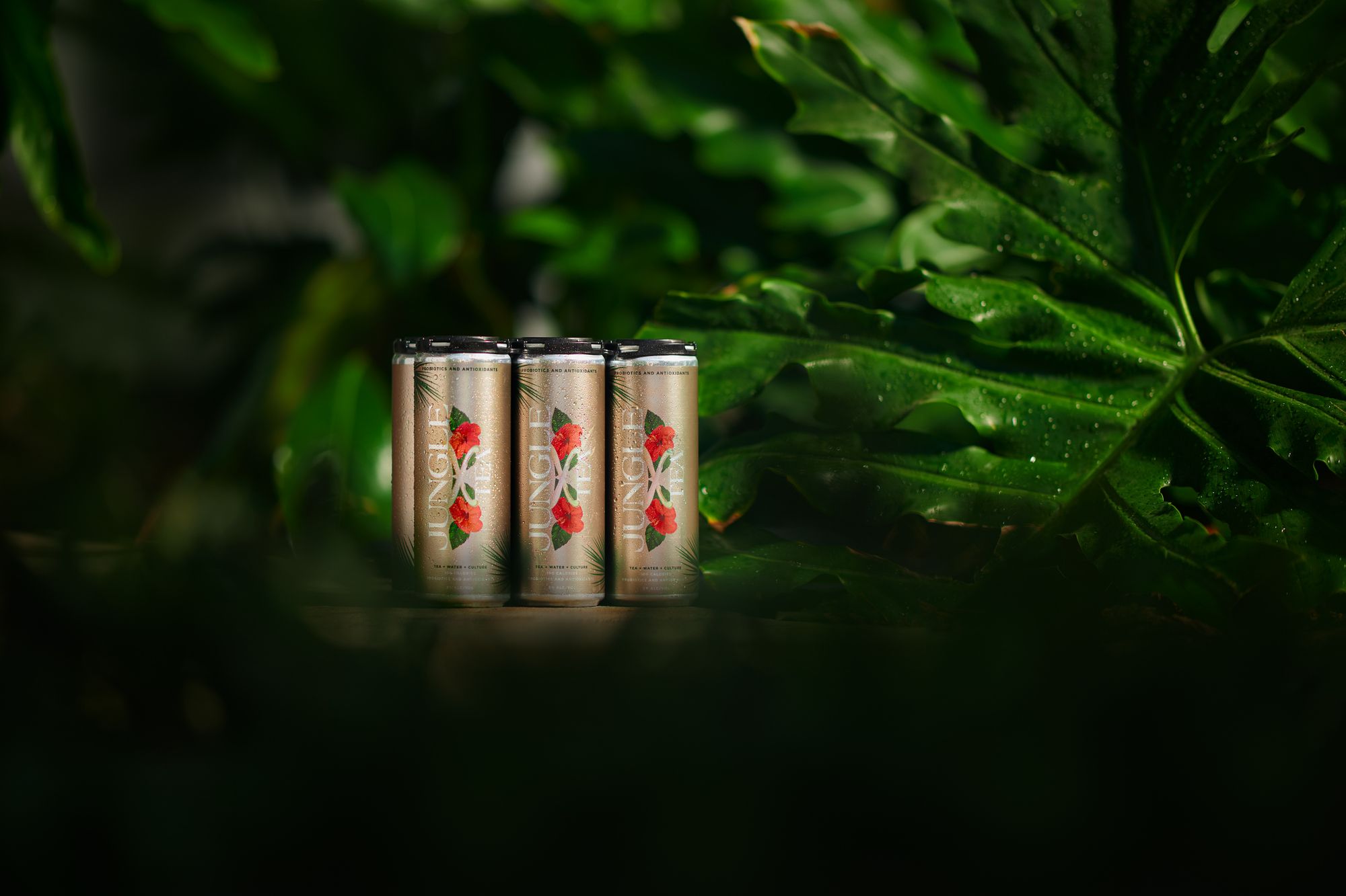 Jungle Tea Deal Memo (Accredited Investors Only)